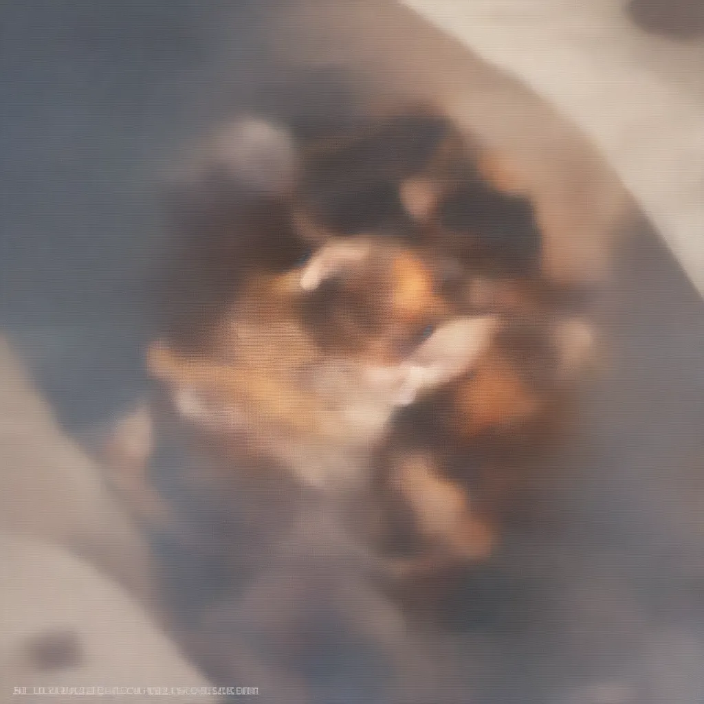 Understanding Bardet Biedl Syndrome Genetic Componentswebp