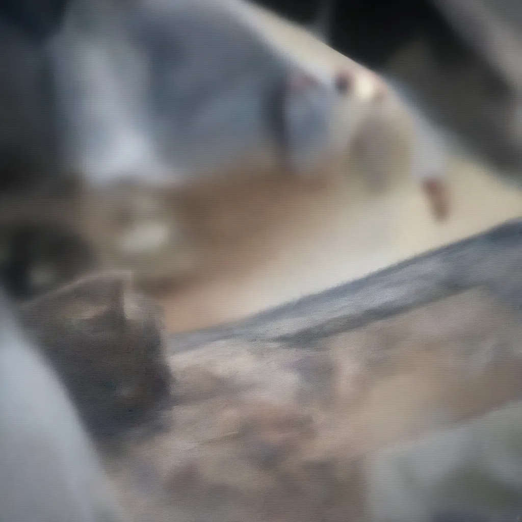 Understanding Life Expectancy in Stage 4 Kidney Disease